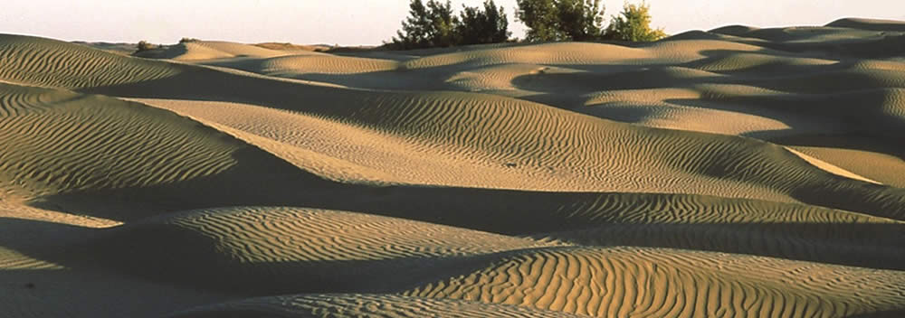 The Great Sandhills - Great Sandhills Museum & Interpretive Centre